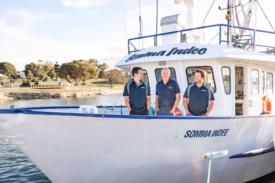 About Port Lincoln Sardine